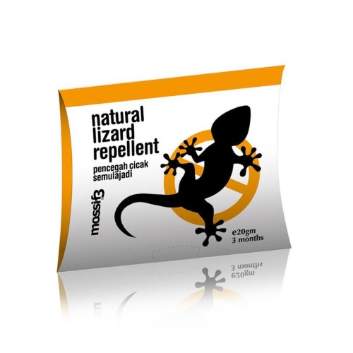 11 เคล็ดลับ “วิธีไล่จิ้งจก” แขกไม่ได้รับเชิญของบ้าน ที่หลายคนหนักใจ