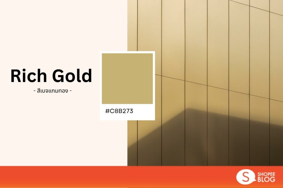 ส่อง! เทรนด์สี 2024 ที่มาแรง เพิ่มภาพลักษณ์แบรนด์ให้ขายดี